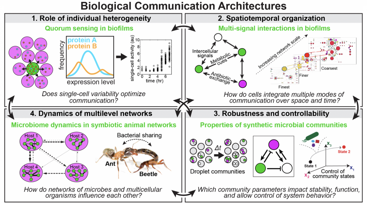UW–Madison Researchers Earn Army Research Office Grant to Study ...